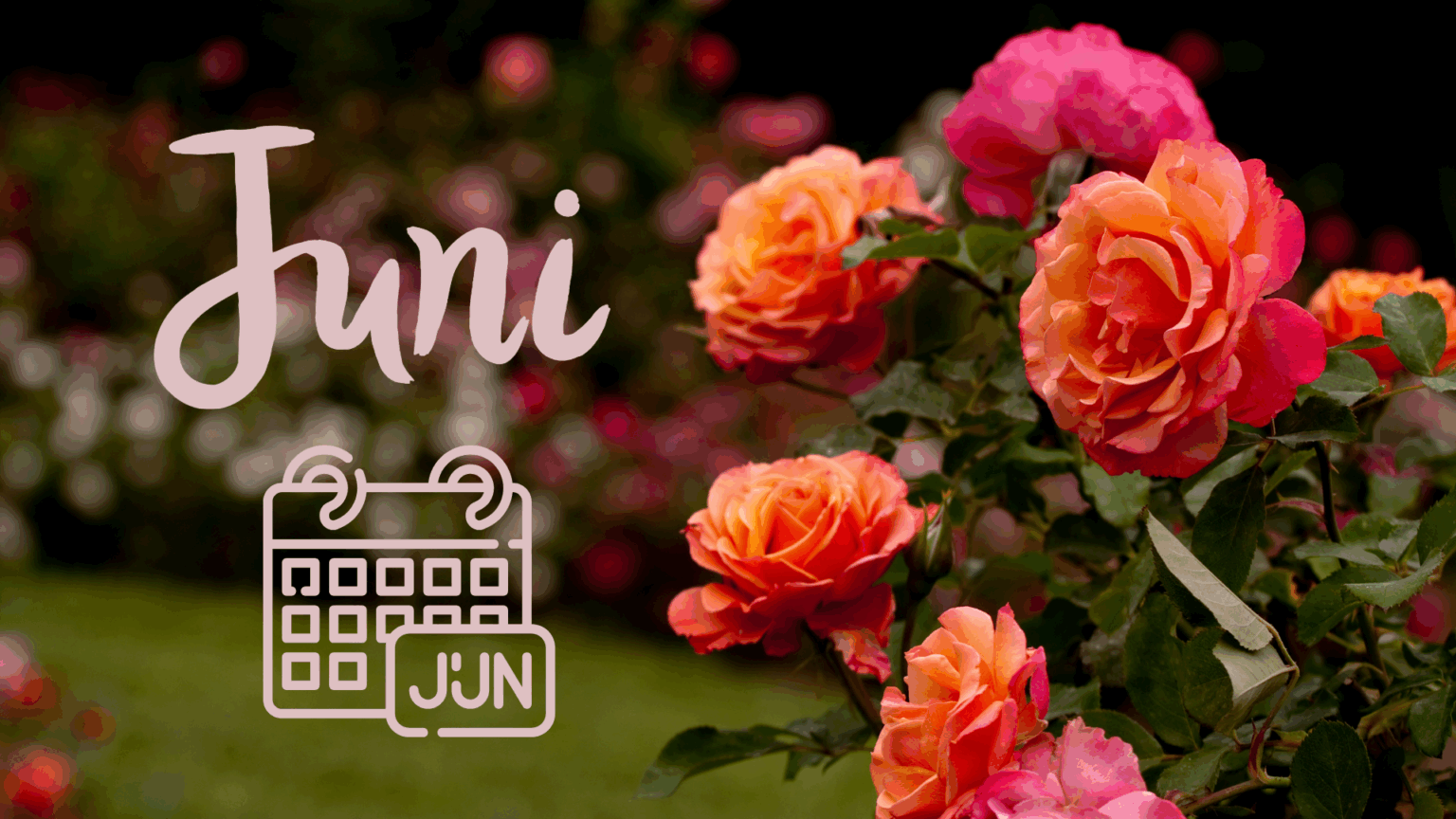 Monat Juni: Sommersonnenwende, Blumensprache und Bauernregeln