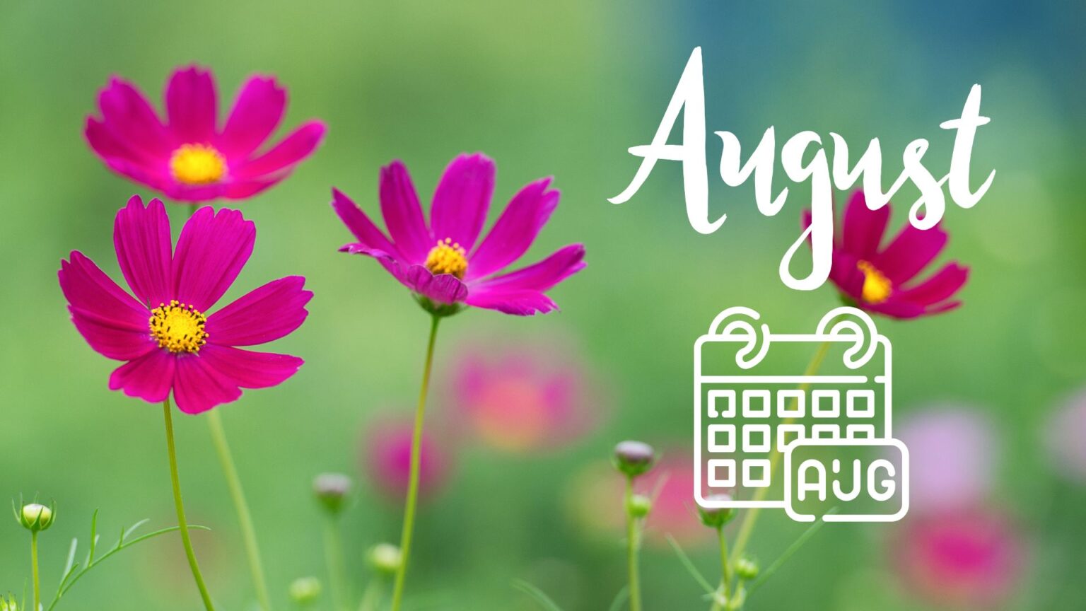 Monat August: Augustus, Katzen und Bauernregeln
