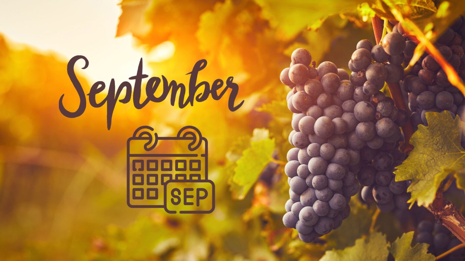 Monat September: Altweibersommer, Oktoberfest und Bauernregeln