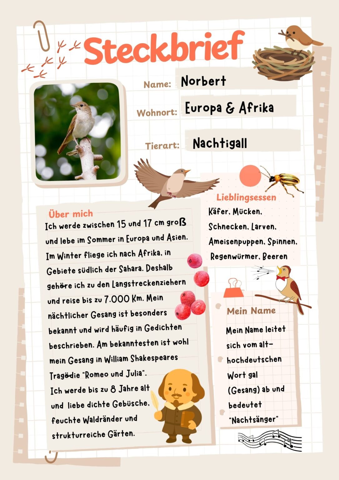 Kinderspaß: Das N wie in Norbert die Nachtigall